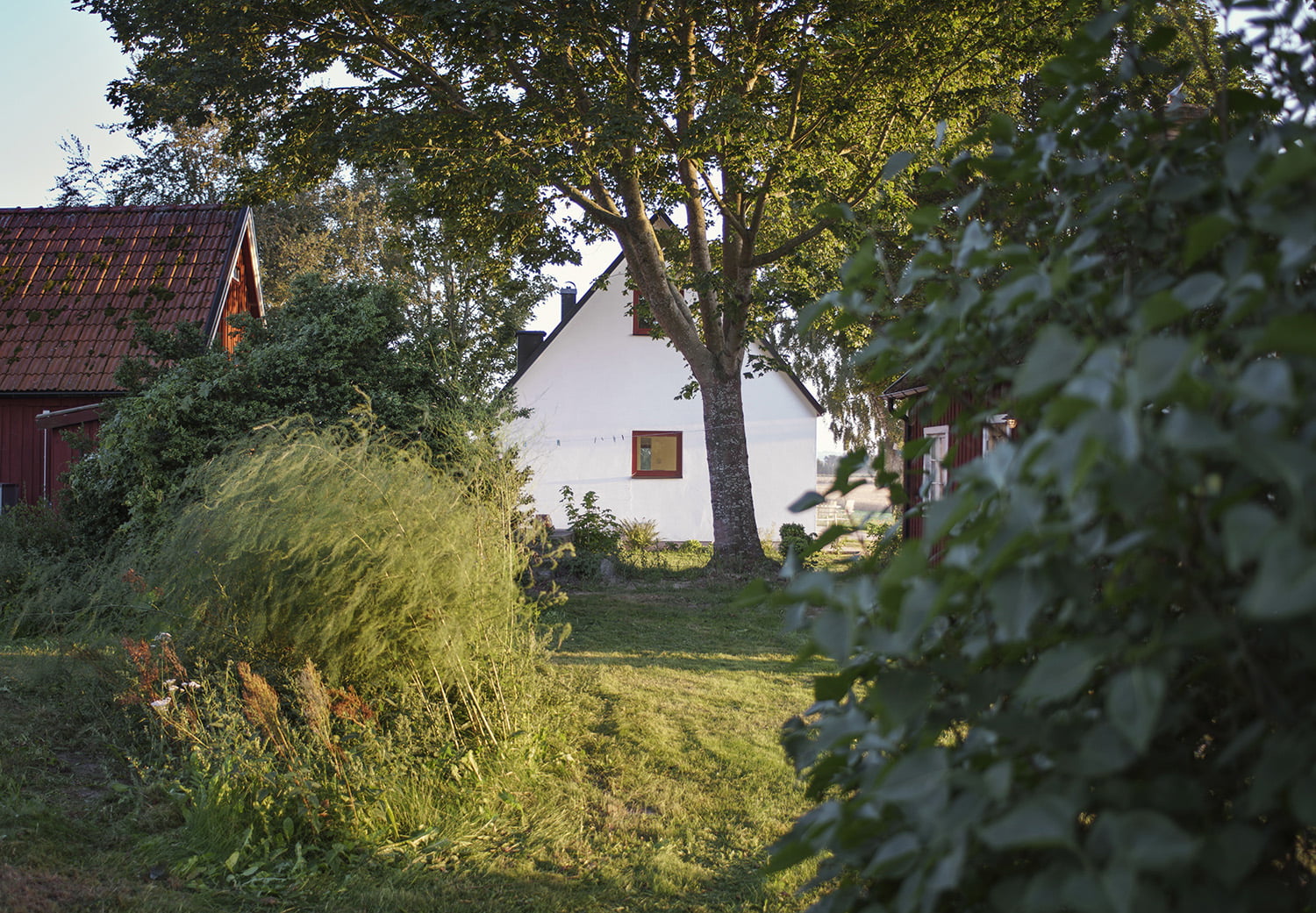 Projekt - Andersson Arfwedson